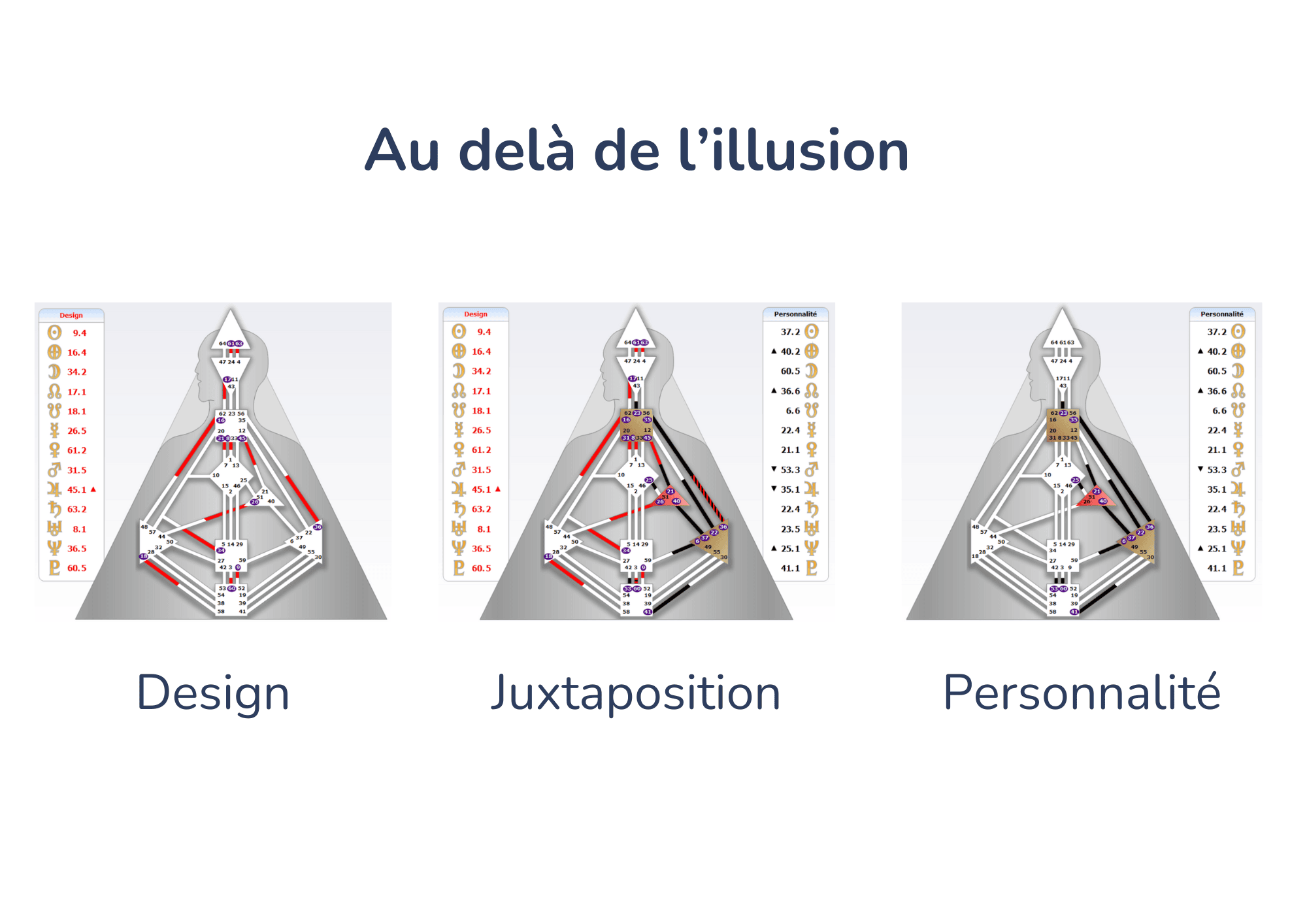 Design Humain test gratuit - Virginie Petitjean