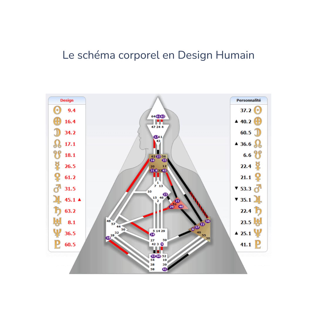 Design Humain test gratuit - Virginie Petitjean